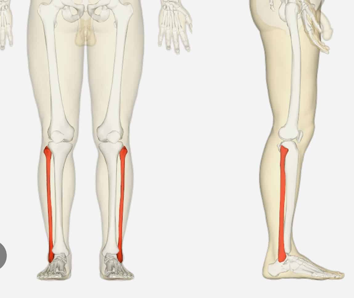 A Pain In The Head Of The Fibula